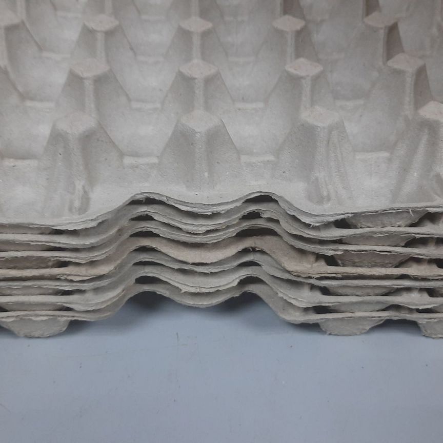 Яичные лотки на 30 шт