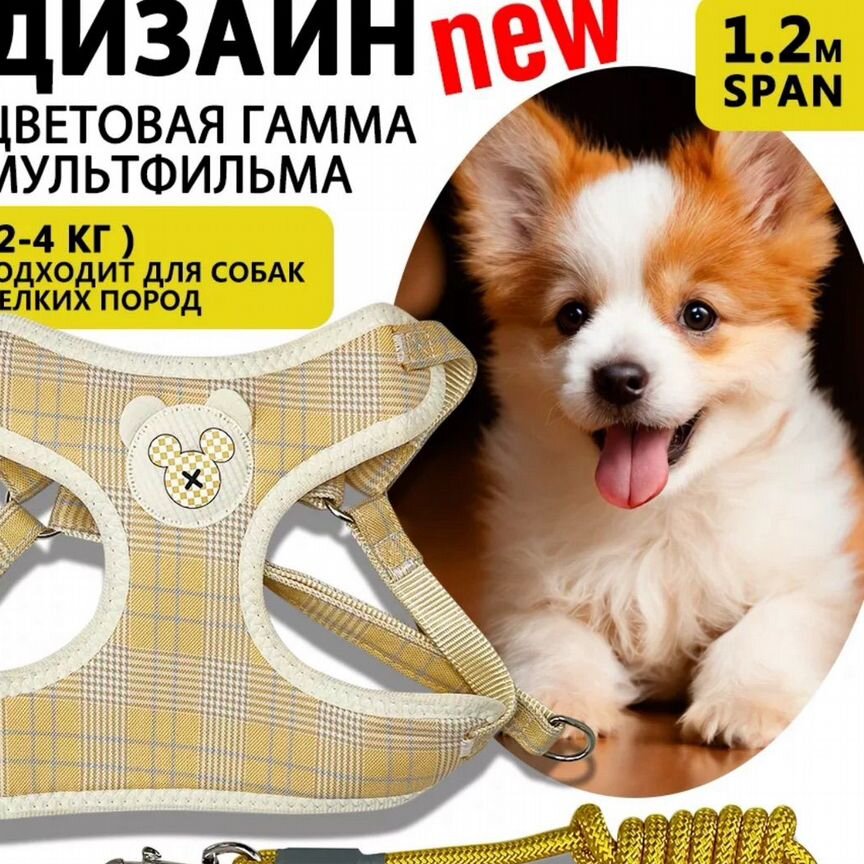 Шлейка с поводком