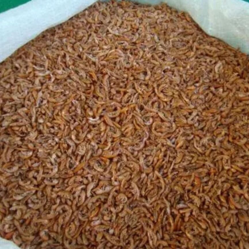 Гаммарус сухой