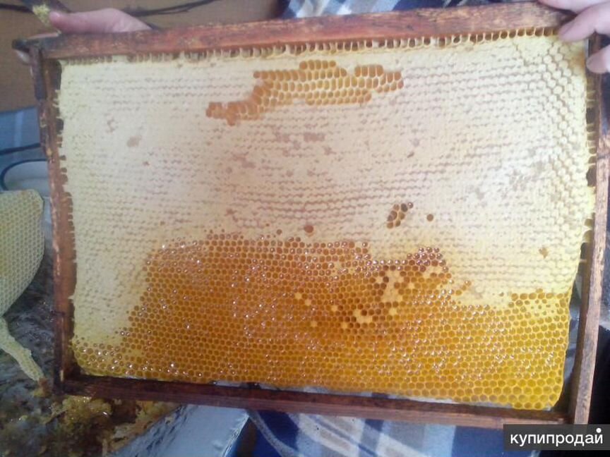 Медовые пчелорамки дадан