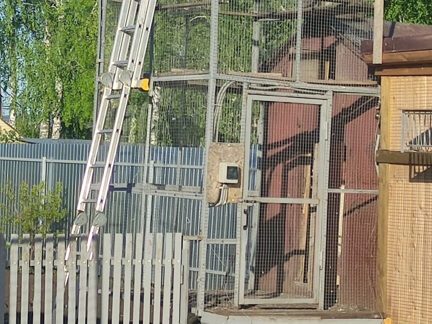 Голубятня для голубей