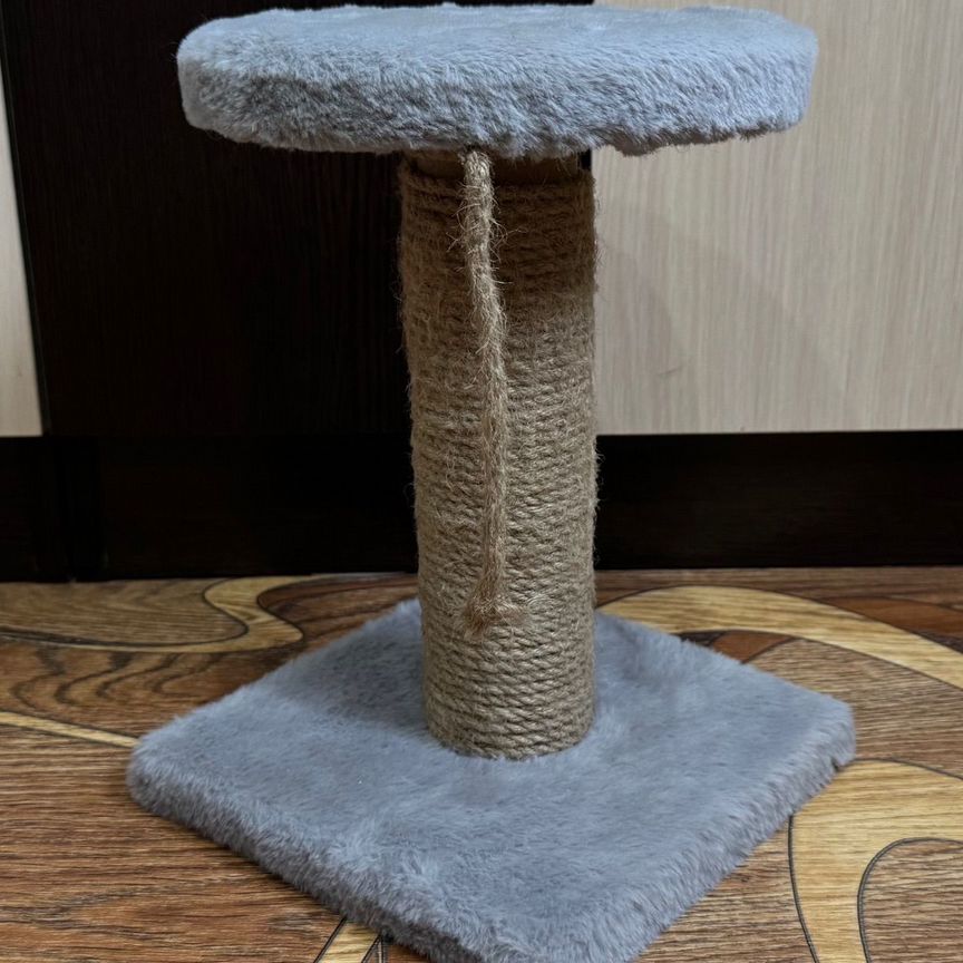 Когтеточка для котят