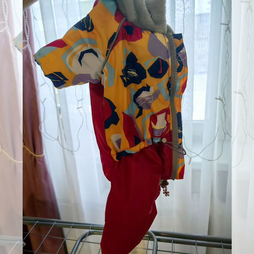 Одежда для собак