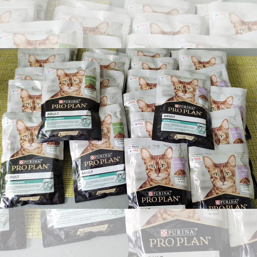 Корм для кошек Proplan