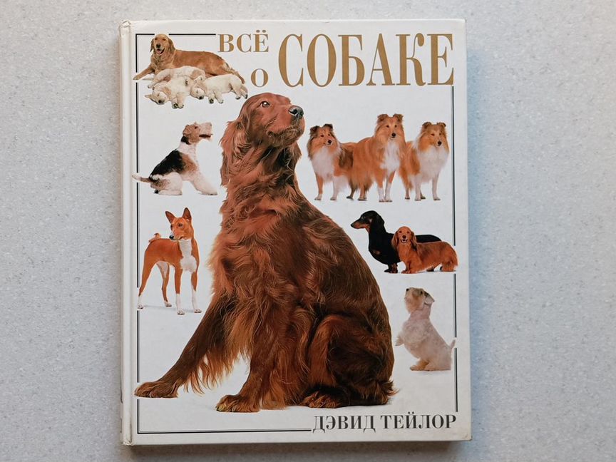 Всё о собаке. 2001 (д.тейлор)