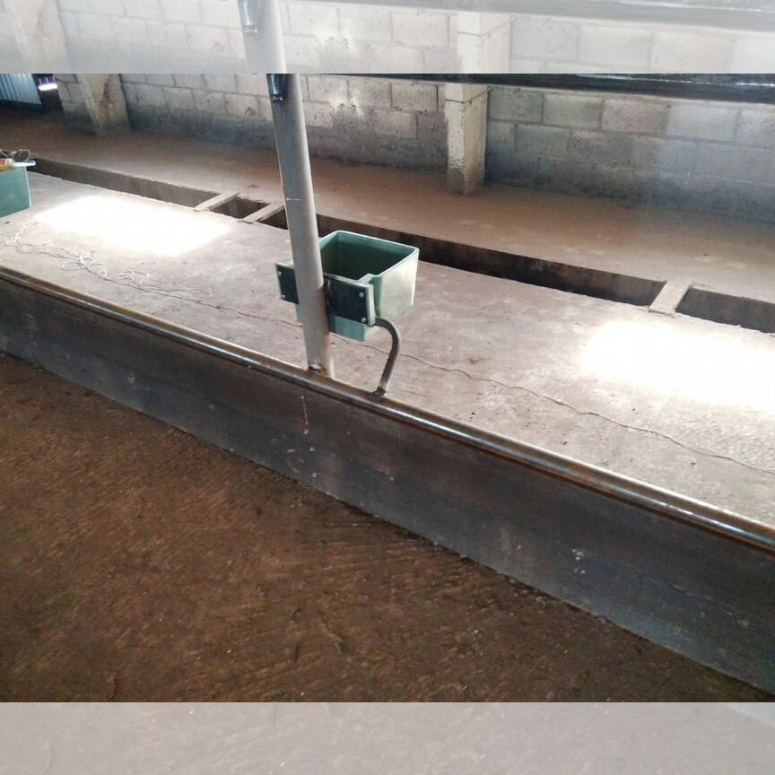 Поилки песчано-полимерные крс