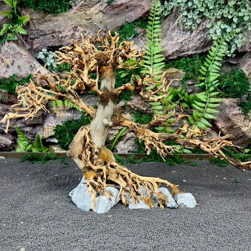 Коряга Бонсай бон110