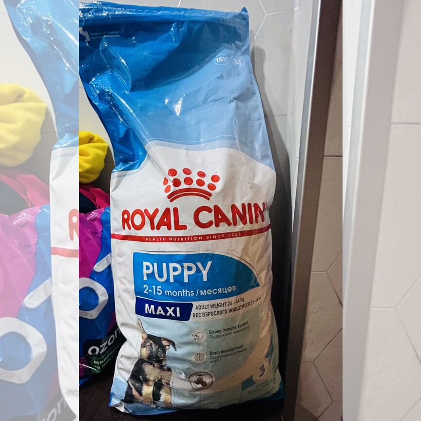 Корм для собак royal canin maxi puppy 15 кг