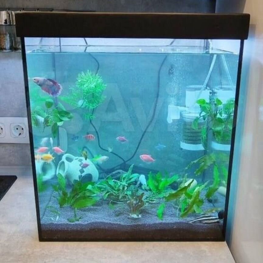 Аквариум на заказ по размерам
