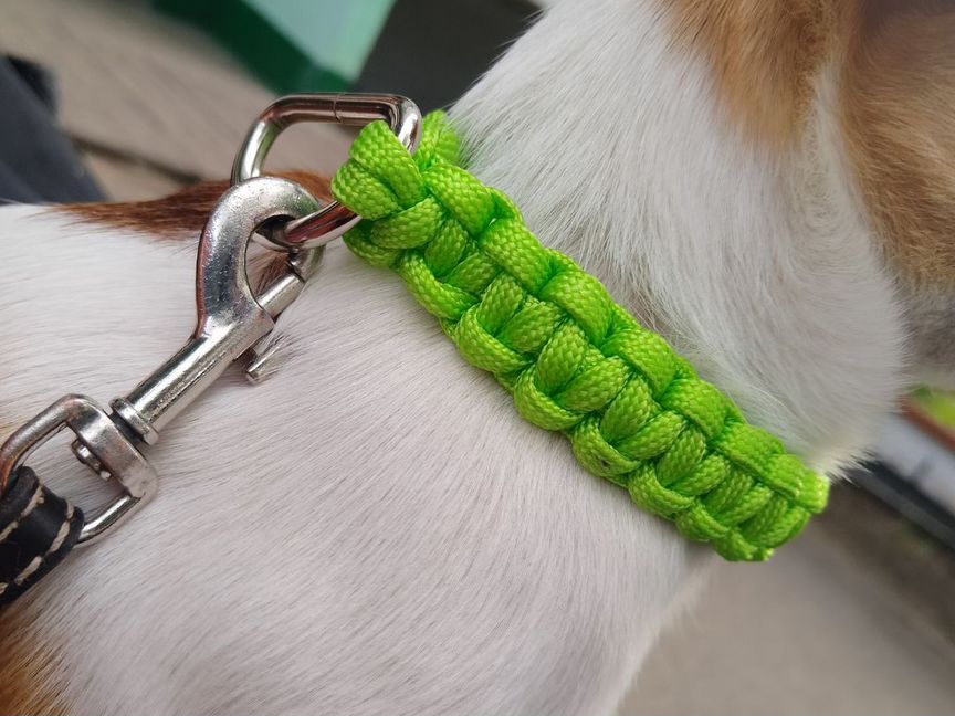 Ошейник из паракорда