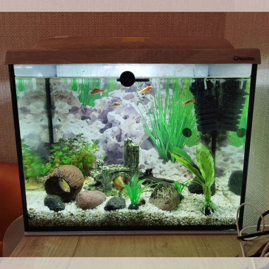Аквариум 60 литров с наполнением