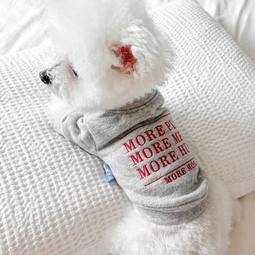 Одежда для собак мелких пород