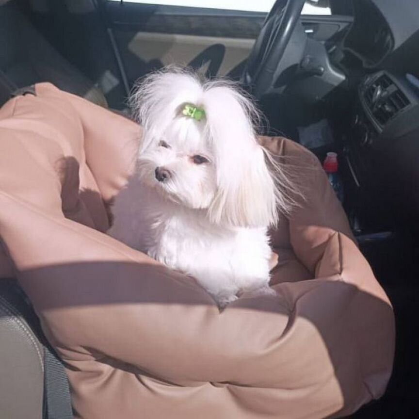 Автокресло для собак Автогамак