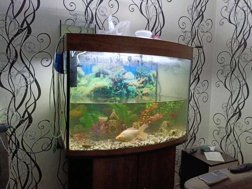 Аквариум с тумбой