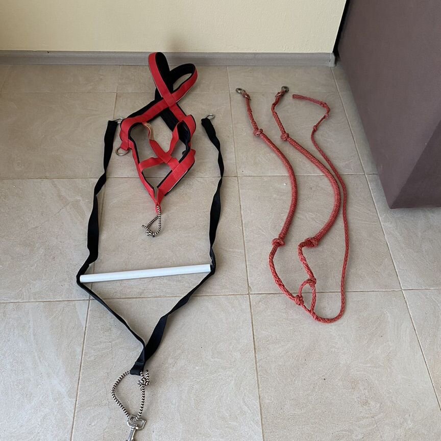 Упряжка для собак