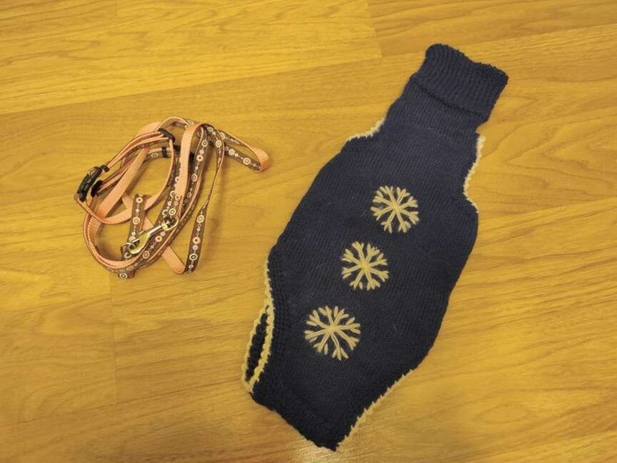 Кошачья кофта и шлейка