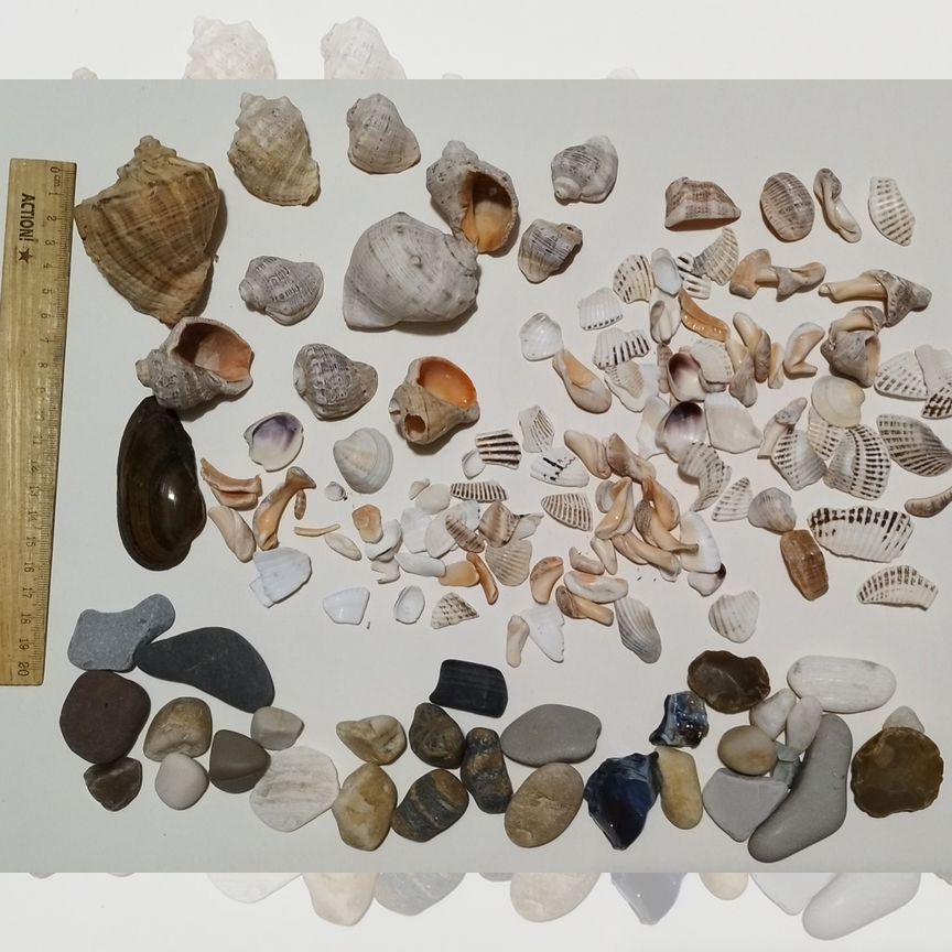 Морские ракушки и камушки для аквариума