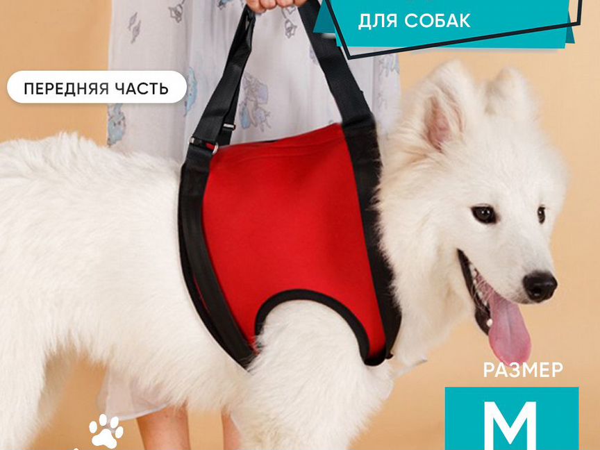 Ходунки для собак