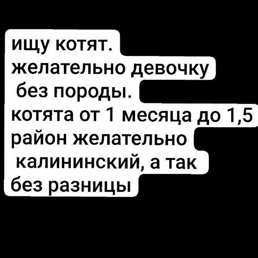 Котёнок в добрые руки