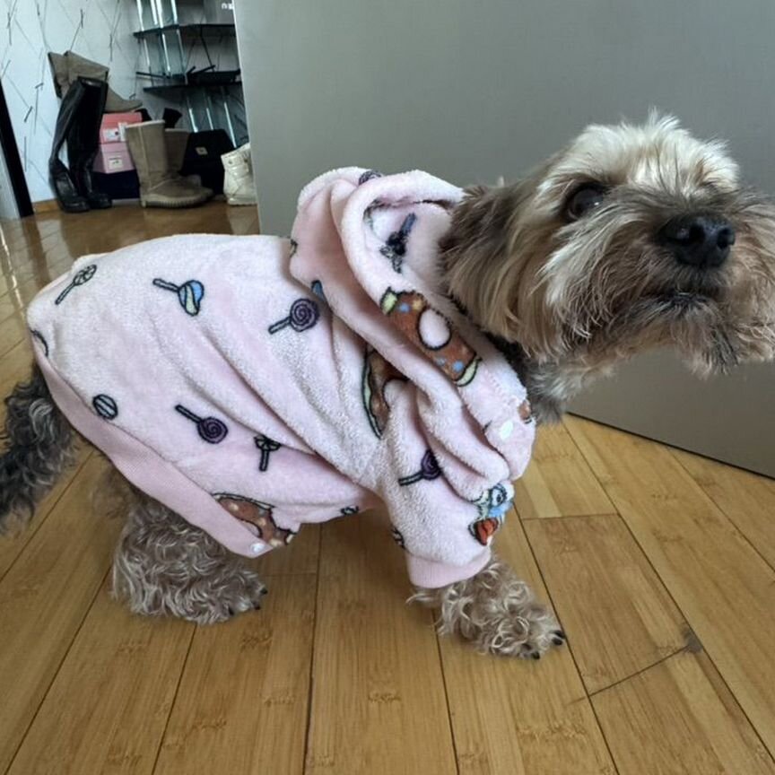 Набор для собак