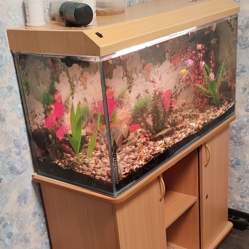Аквариум с тумбой 200л в хорошем состоянии
