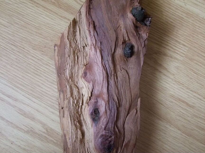 Коряга. Древесина мопани