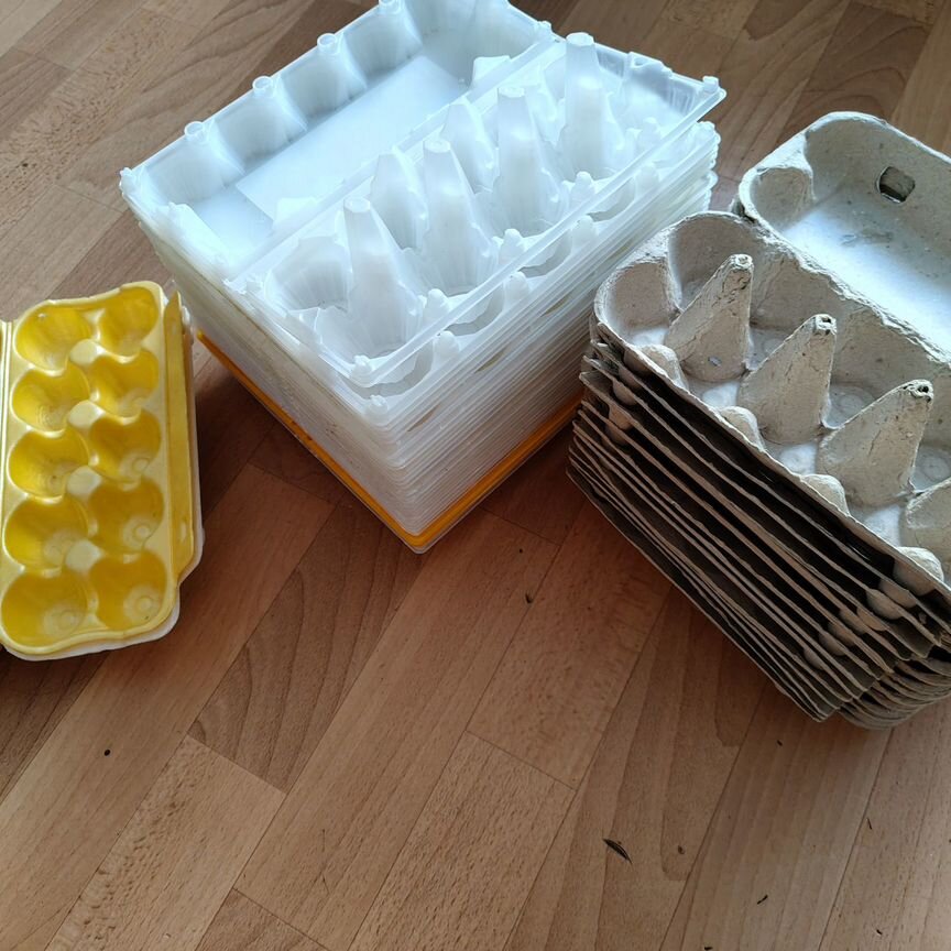 Ячейки для яиц