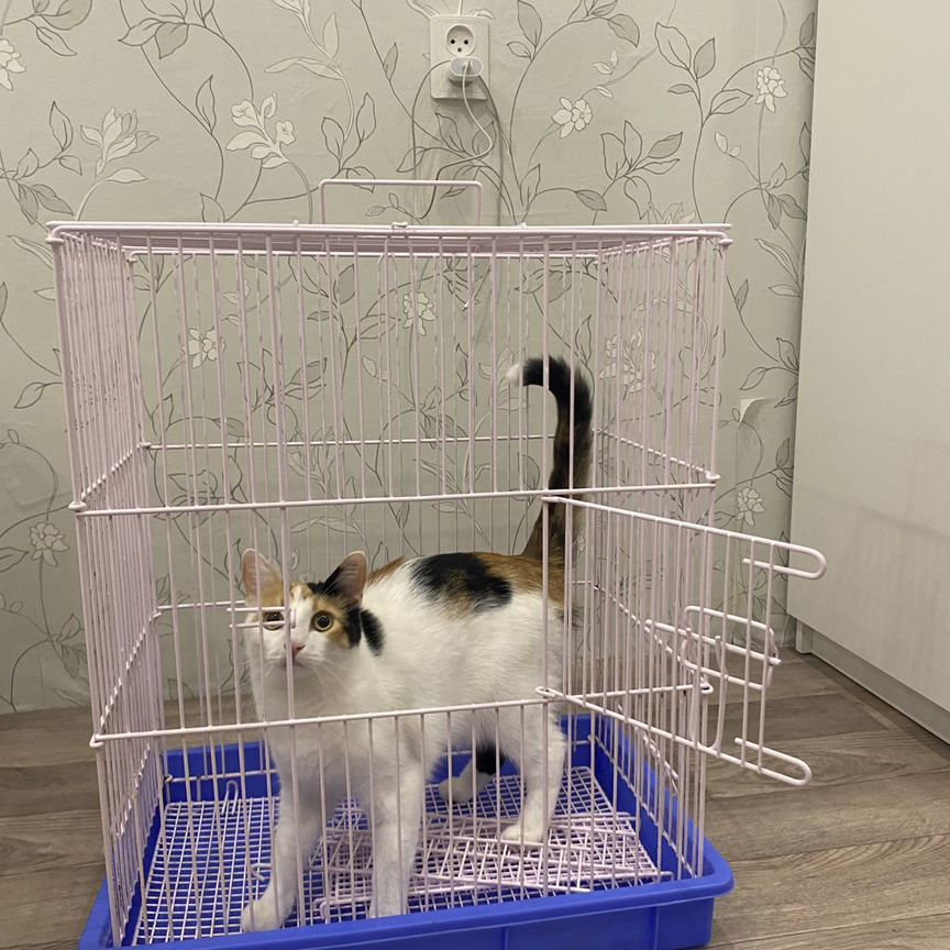 Клетка для грызунов большая бу