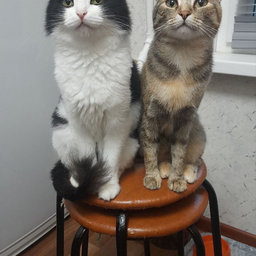 Помогите найти