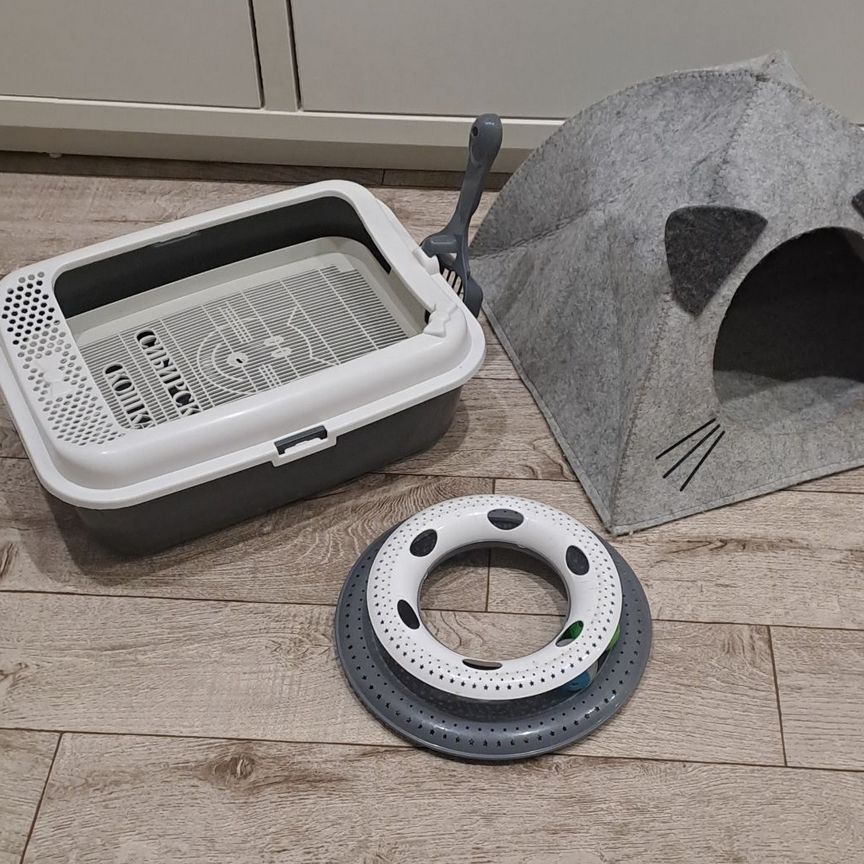 Принадлежности для котят