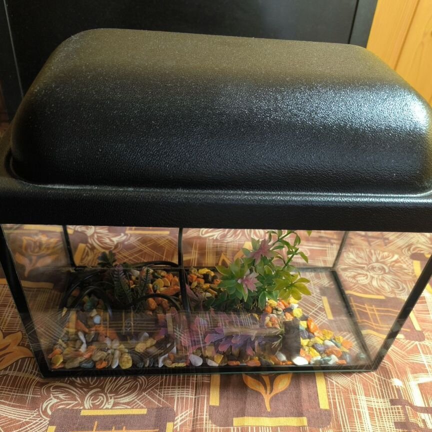 Аквариум для рыбок