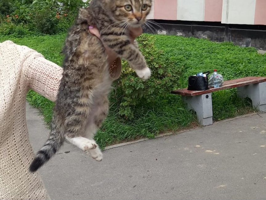 Девочка Вася