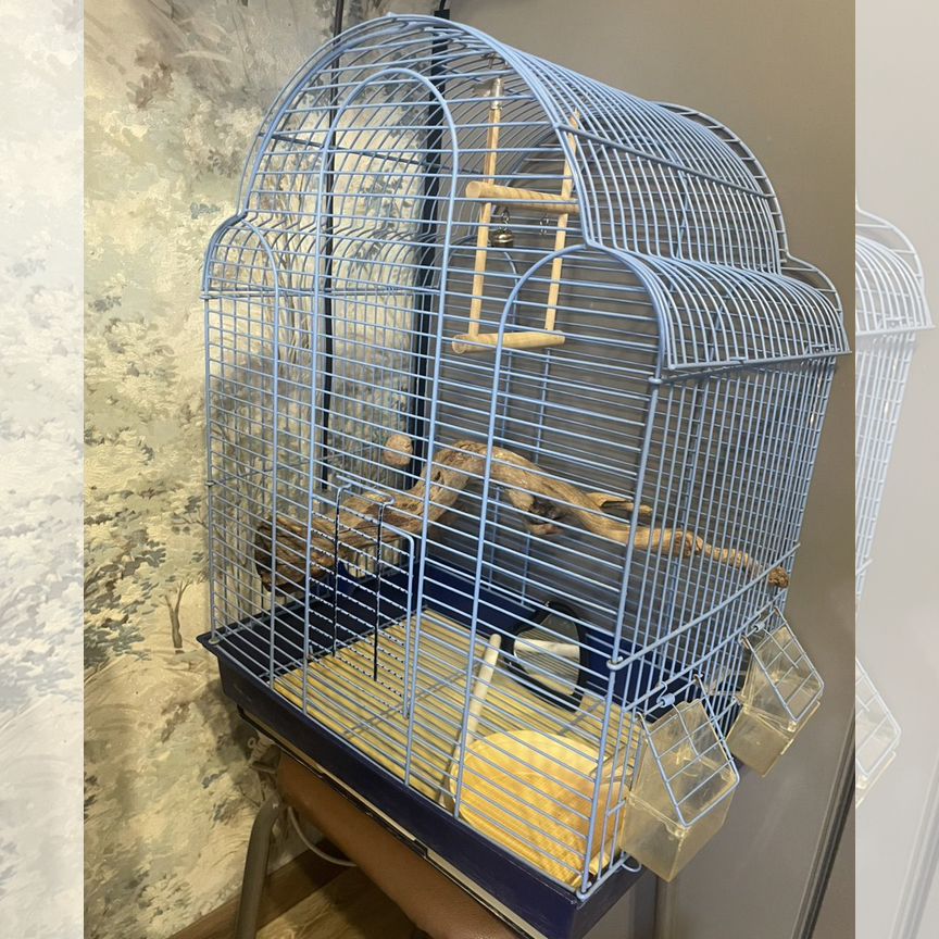 Клетка для попугая с содержимым