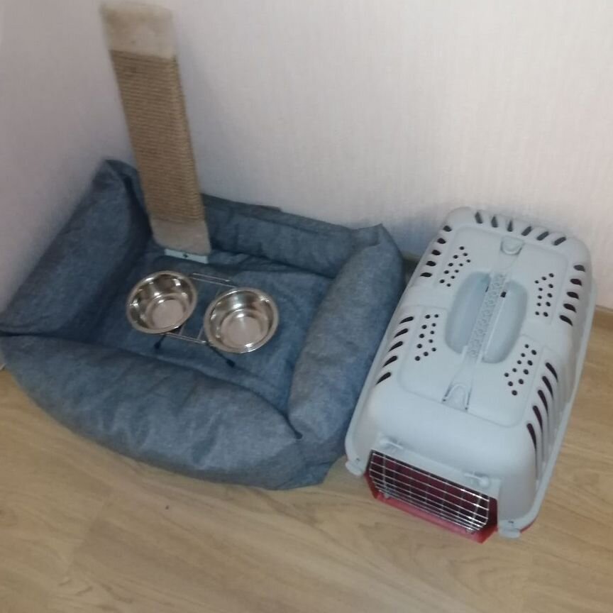 Товары для животных