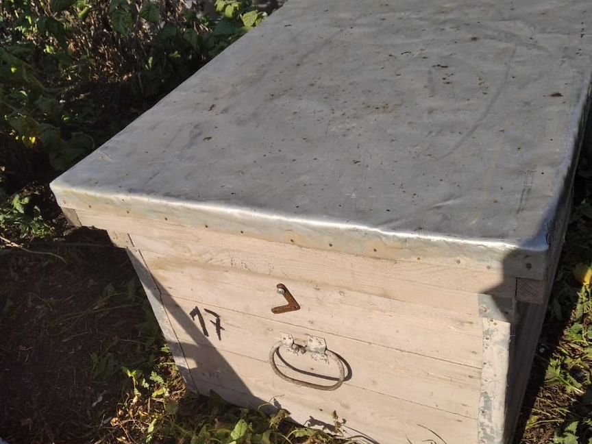 Улей для пчел бу