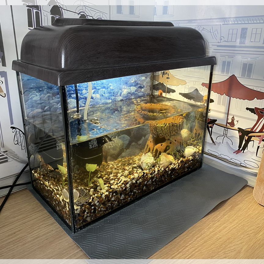 Аквариум 15 литров полный комплект