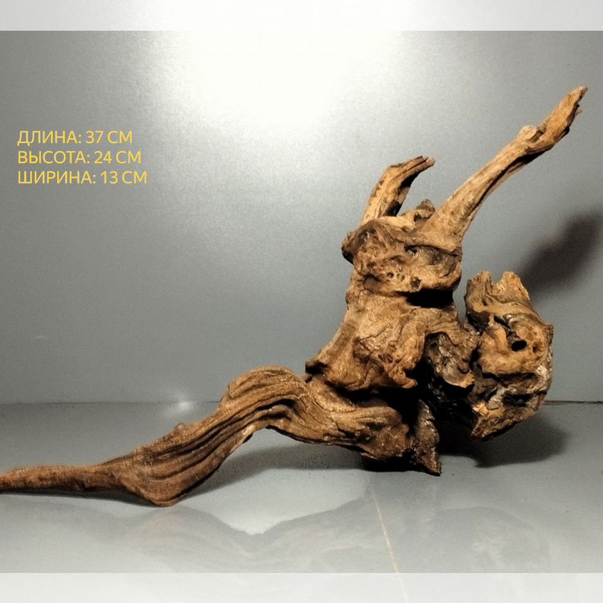 Мангровая коряга: 37*13*34 см. вк59