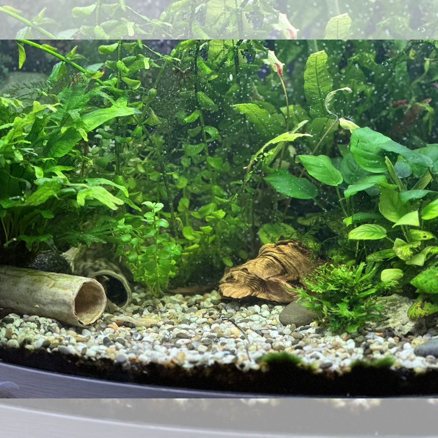 Аквариум угловой 90л