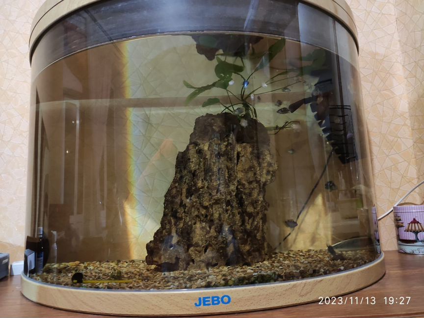 Аквариум jebo 180л
