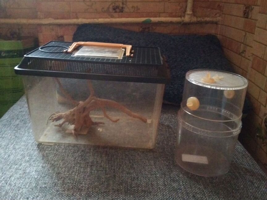 Терариум