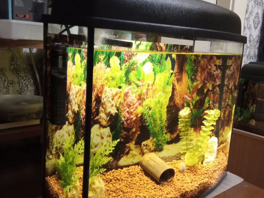 Готовый,красивый аквариум - "телевизор"