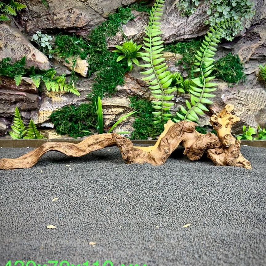 Коралловое дерево/Coral Wood кд691
