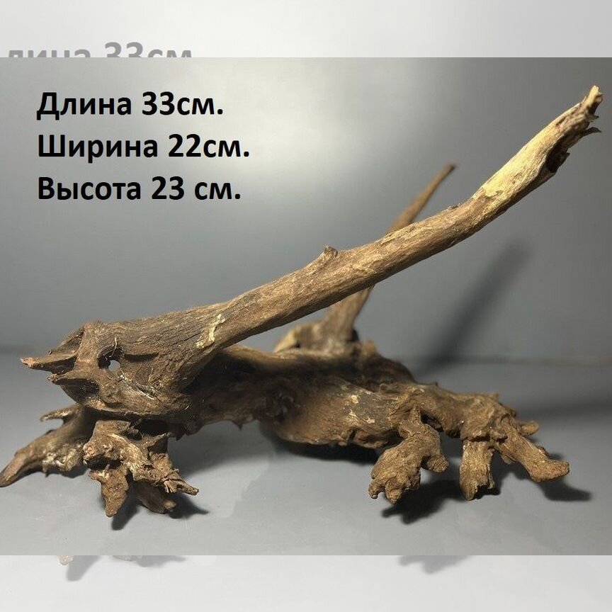 Коряга Bell Wood мангровая коряга 33*22*23 вк8