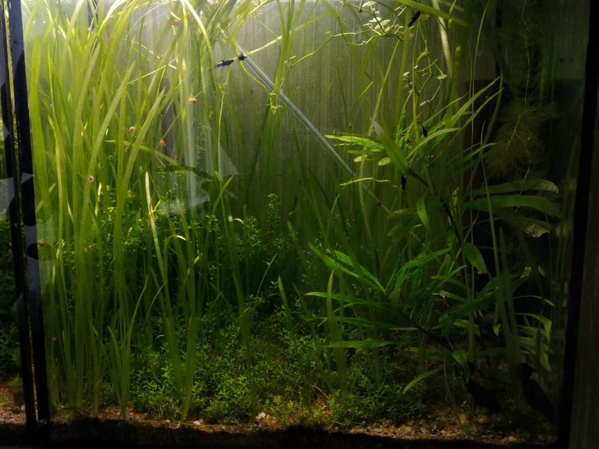 Подвесной на стену Аквариум с рыбами 30литров