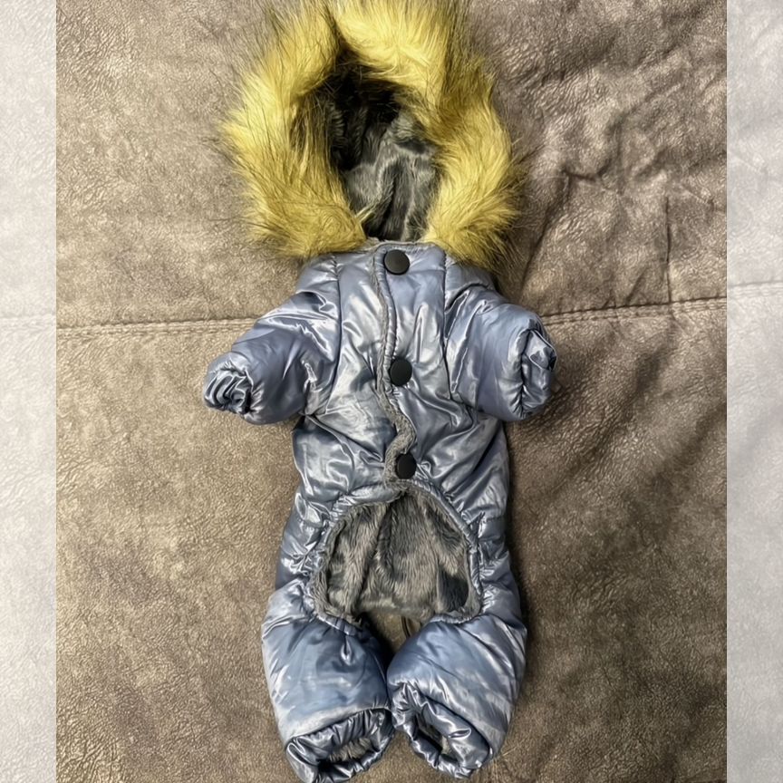 Комбинезон для собаки