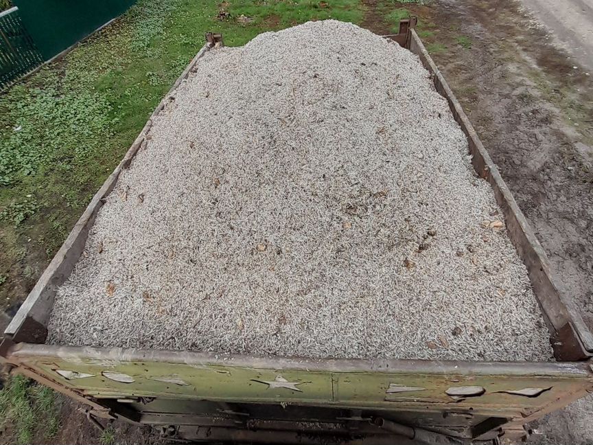 Жом свекольный