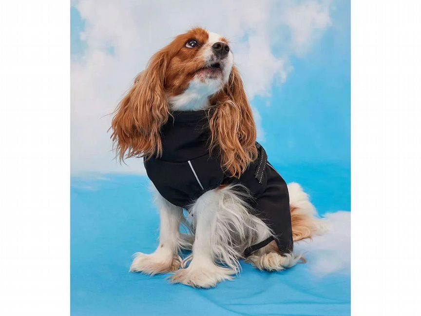 Попона чёрная; Жилет хаки; 40 Zoozavr для собак