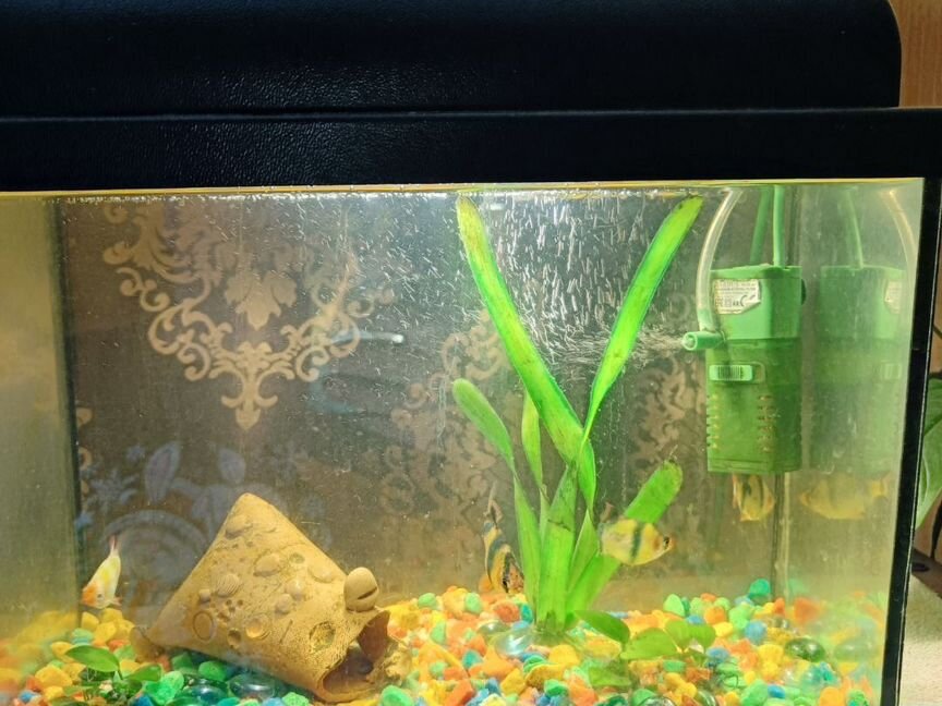 Аквариум 15 литров