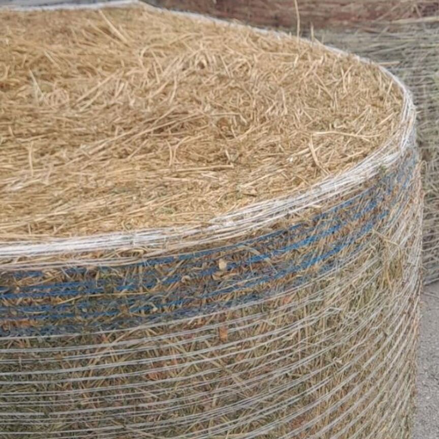 Сено люцерны