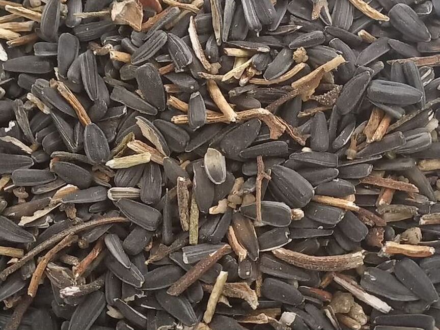 Семечка 2 сорт